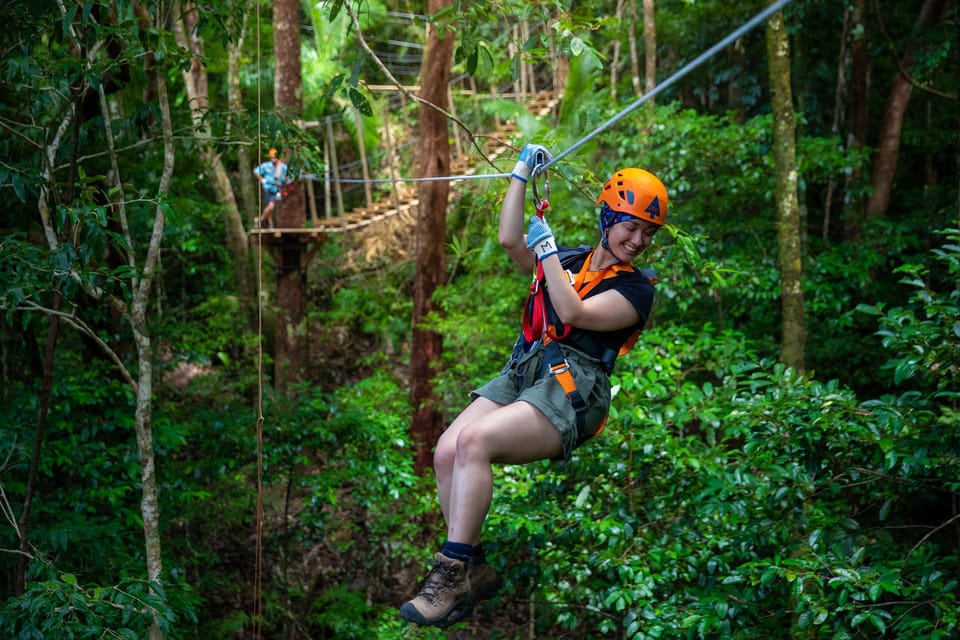 Cairns: Daintree Rainforest Canopy Ziplining Tour | GetYourGuide