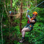 Cairns: Daintree Rainforest Canopy Ziplining Tour | GetYourGuide