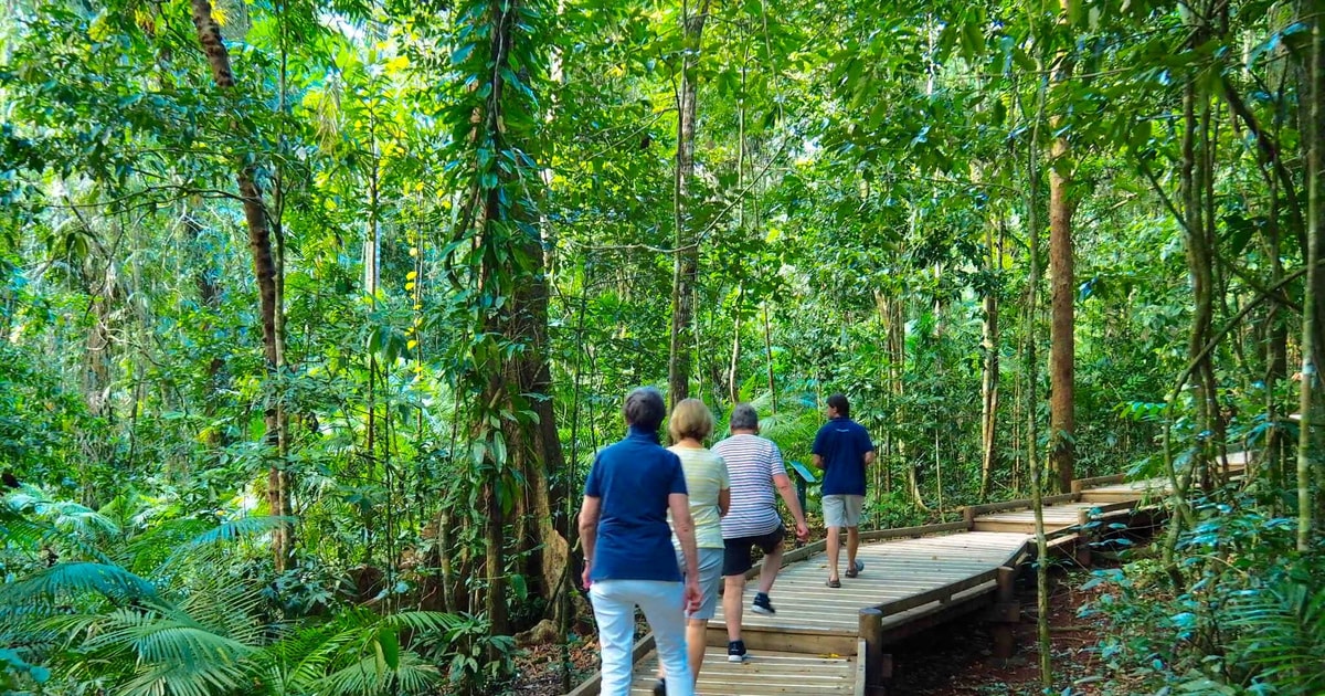 Port Douglas: Daintree Rainforest Canopy Ziplining Tour | GetYourGuide