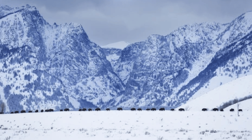 Jackson: Grand Teton & Native American Petroglyph Tour | GetYourGuide