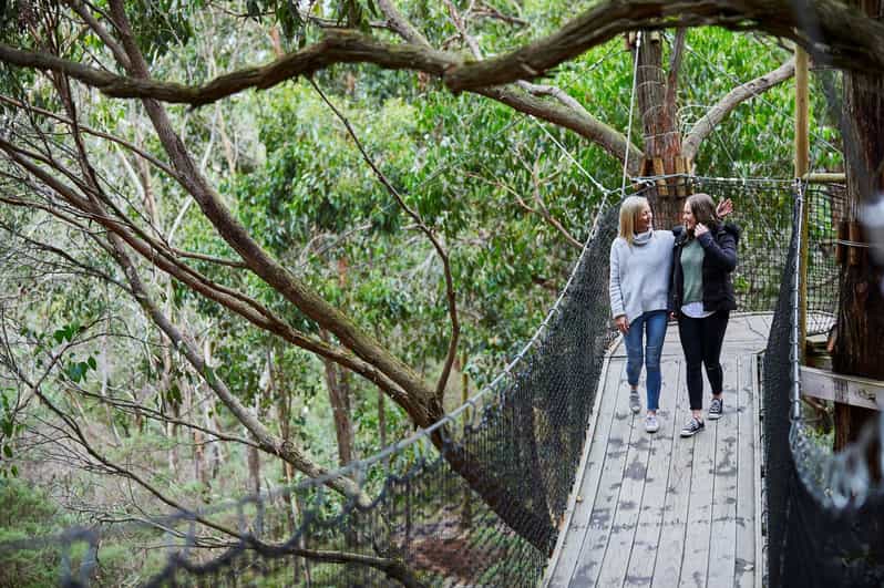 Mornington Peninsula: Enchanted Adventure General Admission | GetYourGuide