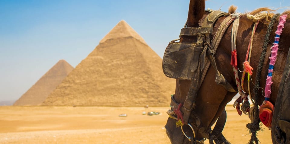 Giza: Arabian Horse Tour Around the Giza Pyramids | GetYourGuide