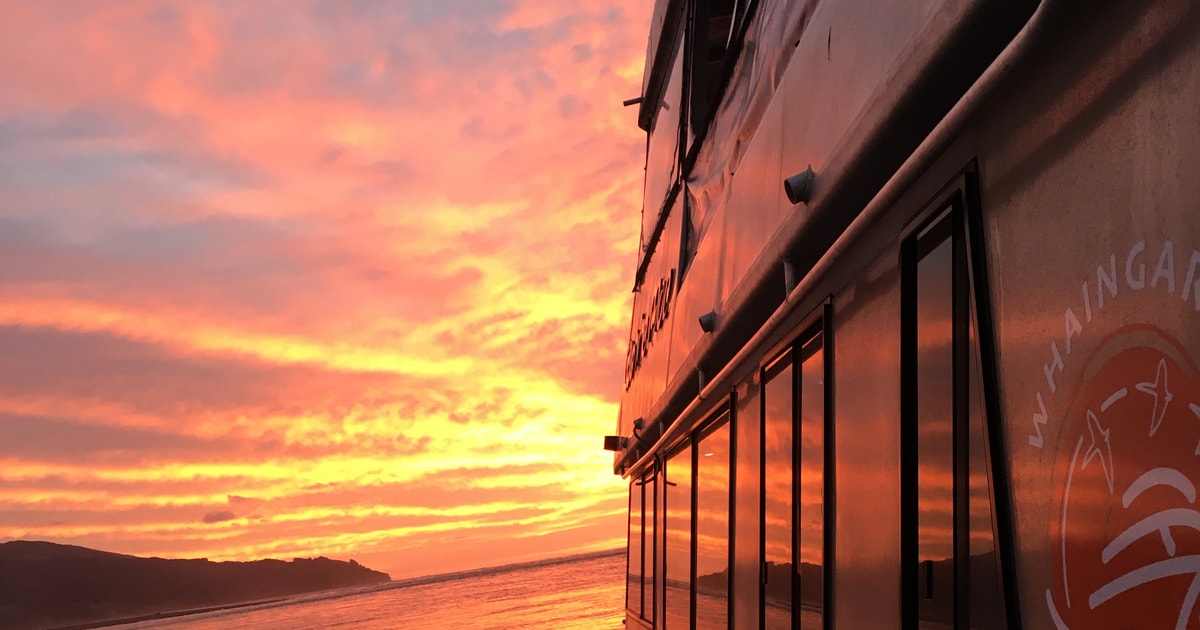 Raglan: Scenic Harbour Sunset Cruise | GetYourGuide