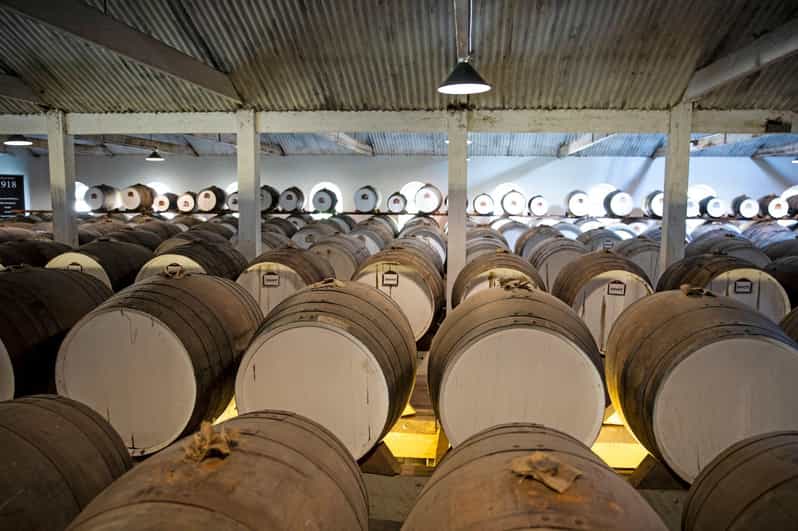 Seppeltsfield Winery: Tour and 100-Year-Old Wine Tasting | GetYourGuide