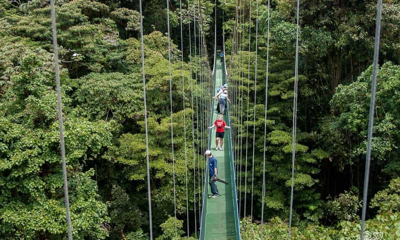 Monteverde : 3-en-1 Sky Tram, Sky Trek et Sky Walk | GetYourGuide