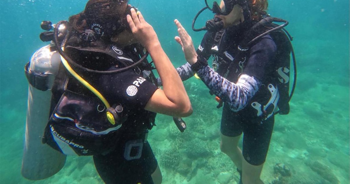 From Nilaveli: PADI Discover Scuba Diving | GetYourGuide