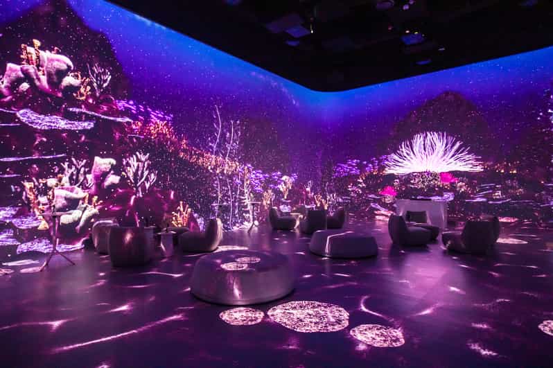 Illuminarium Atlanta: After Dark Immersive Nightlife | GetYourGuide