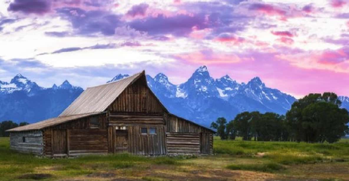 Von Jackson aus: Grand Teton Wildlife & Scenery Tour mit Mittagessen ...
