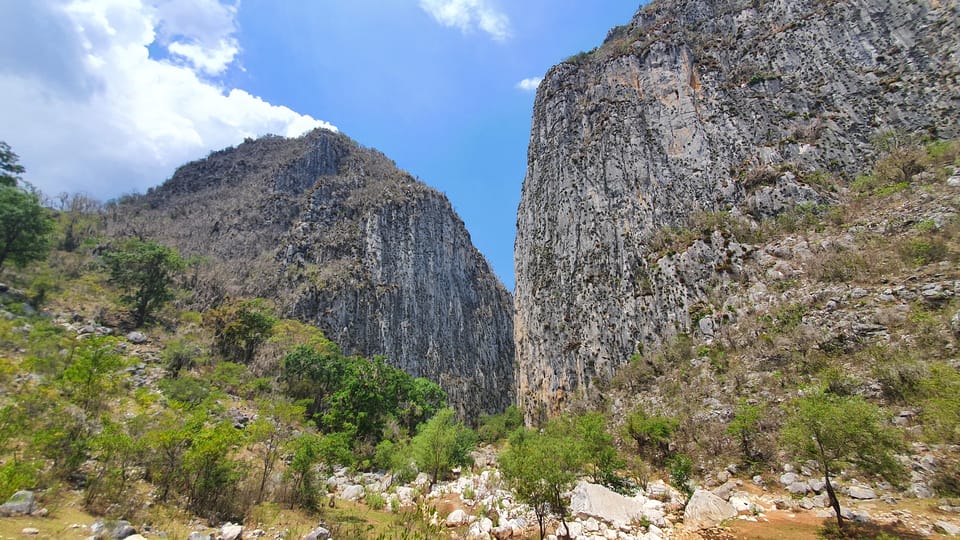 Oaxaca'dan: Rehberli Santiago Apoala Günübirlik Gezisi ve Lagün Ziyareti | GetYourGuide