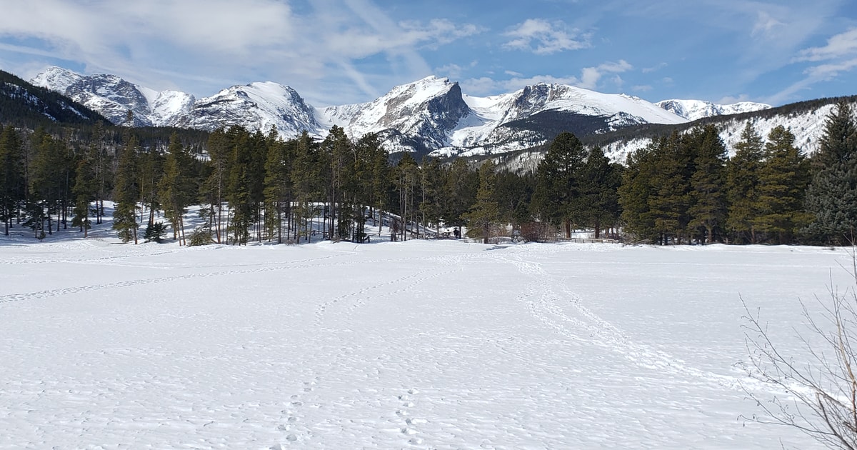 From Denver: Rocky Mountain National Park Winter/Spring Tour | GetYourGuide