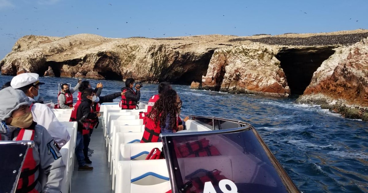 From Lima: Ballestas Island and Paracas Reserve Private Tour | GetYourGuide