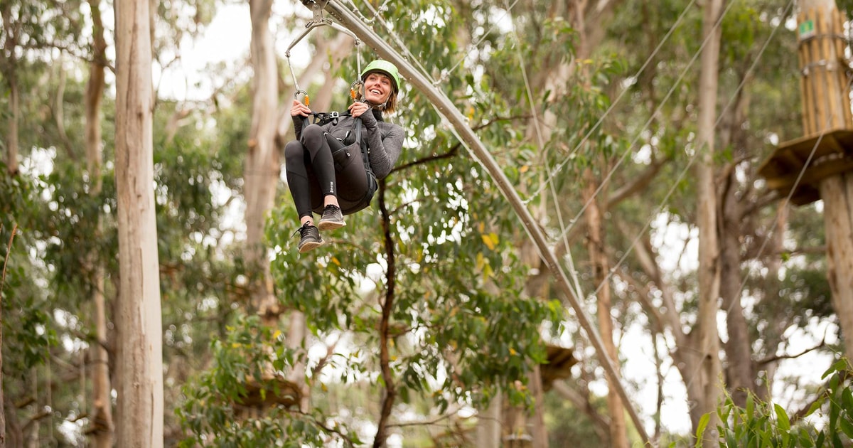 Lorne: biglietto Live Wire Park con Zip Line Rollercoaster | GetYourGuide