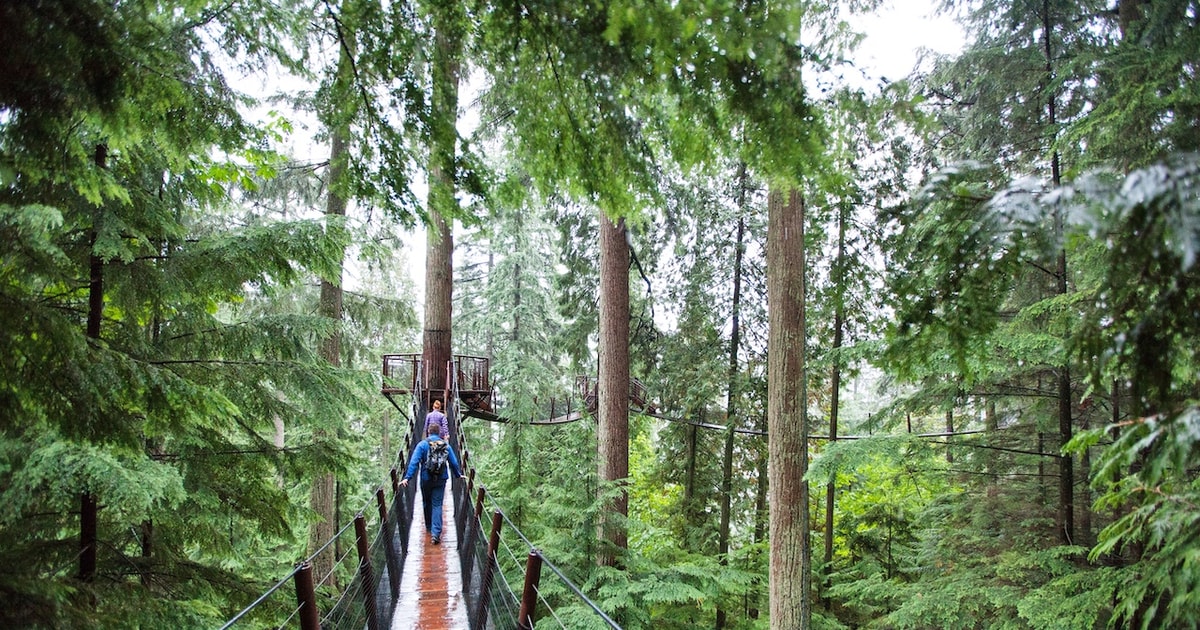 Small group tour of Capilano Bridge & Grouse Mountain | GetYourGuide