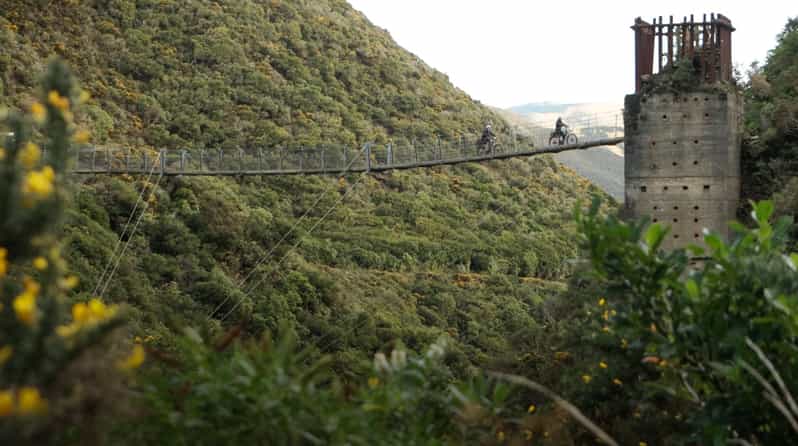Wellington: Remutaka Rail Trail Cycle Tour | GetYourGuide