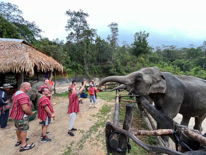 Chiang Mai: rezerwat słoni i wodospad – wycieczka grupowa | GetYourGuide Chiang Mai: rezerwat słoni i wodospad – wycieczka grupowa | GetYourGuide