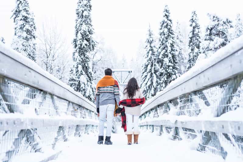 From Rovaniemi: Private Photoshoot in the Lappish Wilderness | GetYourGuide