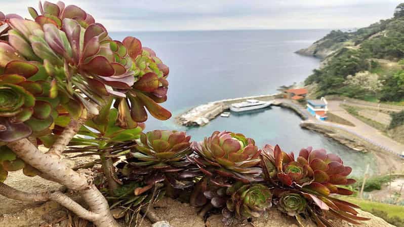 From Livorno: Gorgona Island Day Tour with Hike & Ferry Ride | GetYourGuide