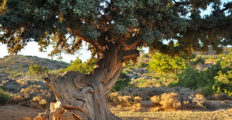 From Elounda: Knossos Palace & West Crete Private Tour | GetYourGuide