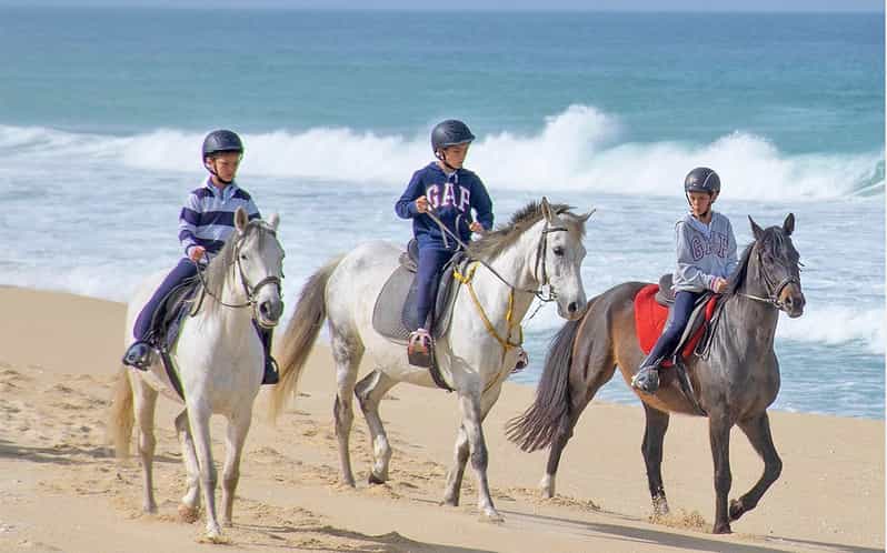 Horseback riding in Comporta & Setúbal city from Lisbon | GetYourGuide