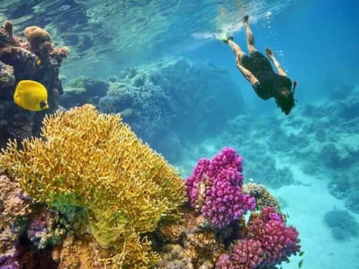 Hurghada Snorkelen In De Rode Zee Dagtour Met Lunch En Jacht Hurghada Snorkelen In De Rode Zee Dagtour Met Lunch En Jacht