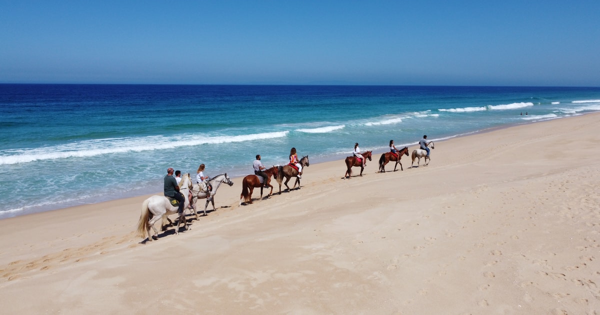 Horseback riding in Comporta & Setúbal city from Lisbon | GetYourGuide
