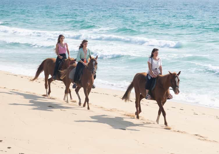 Horseback riding in Comporta & Setúbal city from Lisbon | GetYourGuide