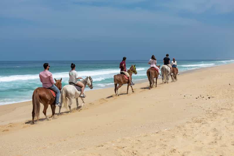 Horseback riding in Comporta & Setúbal city from Lisbon | GetYourGuide