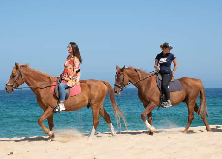 Horseback riding in Comporta & Setúbal city from Lisbon | GetYourGuide