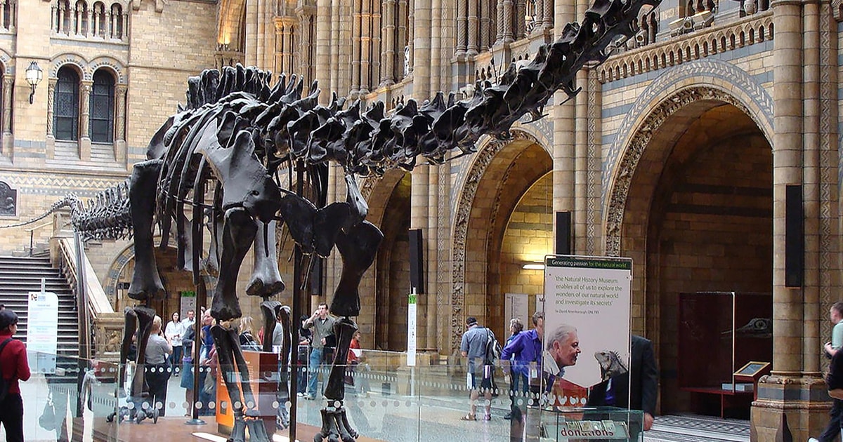 Discover Evolution at the Natural History Museum | GetYourGuide