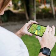 Sunshine Coast: Amaze World All-Day Entry Ticket | GetYourGuide