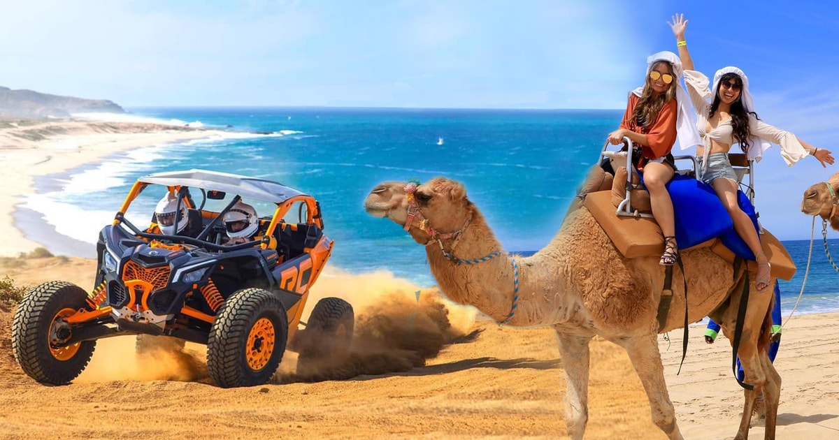 Cabo San Lucas: Camel Ride & Off-Road UTV Combo Adventure | GetYourGuide