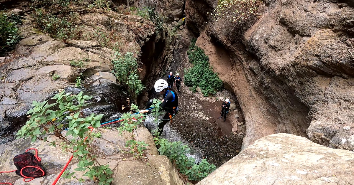 Τροπικό δάσος της Γκραν Κανάρια: Canaria Canaria: Abseiling με ...