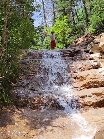 Durango: Waterfalls and Mountains La Plata Canyon Jeep Tour | GetYourGuide