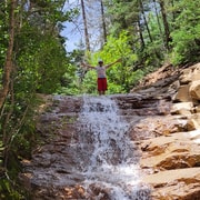 Durango: Waterfalls and Mountains La Plata Canyon Jeep Tour | GetYourGuide