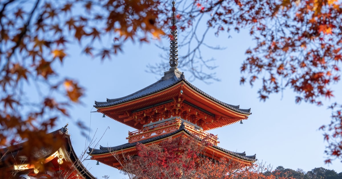 Kyoto: Personalized Guided Private Tour | GetYourGuide