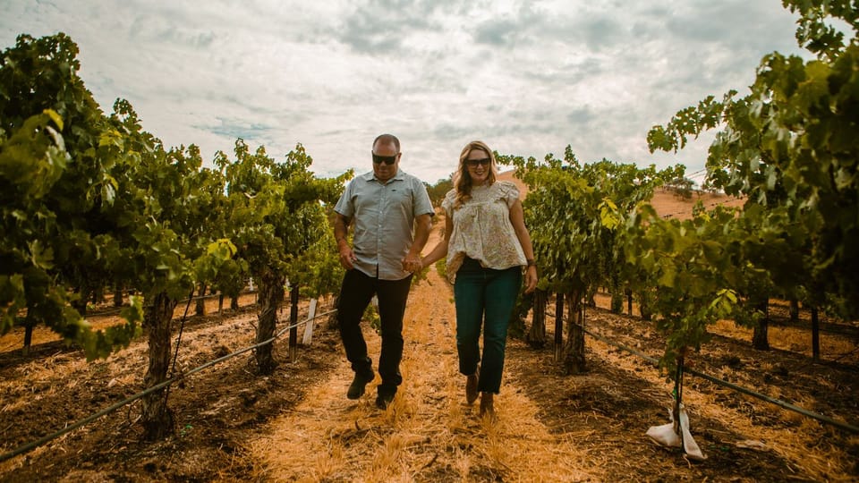 Paso Robles: Sidecar Deluxe Wine Tour with Tastings | GetYourGuide