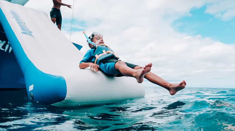Oahu: Dolphin Watch and Snorkeling Adventure | GetYourGuide