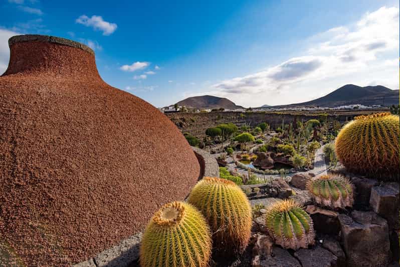 Lanzarote: César Manrique & Cactus Garden from Cruise Port | GetYourGuide