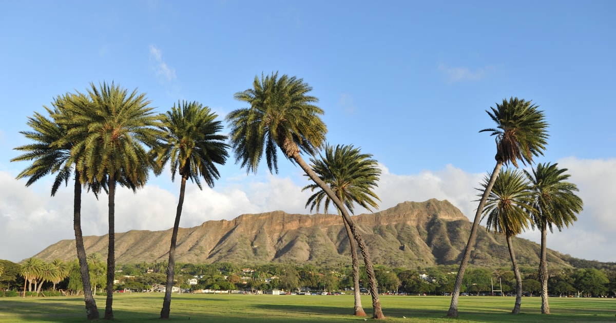 Z Honolulu: Diamond Head Sunrise Tour i nurkowanie z żółwiami ...