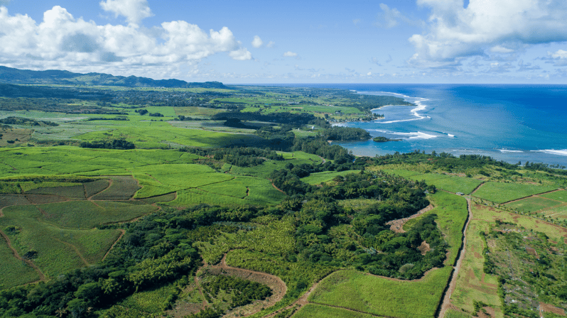 Mauritius: Bel Ombre Nature Reserve 4x4 Safari Adventure | GetYourGuide