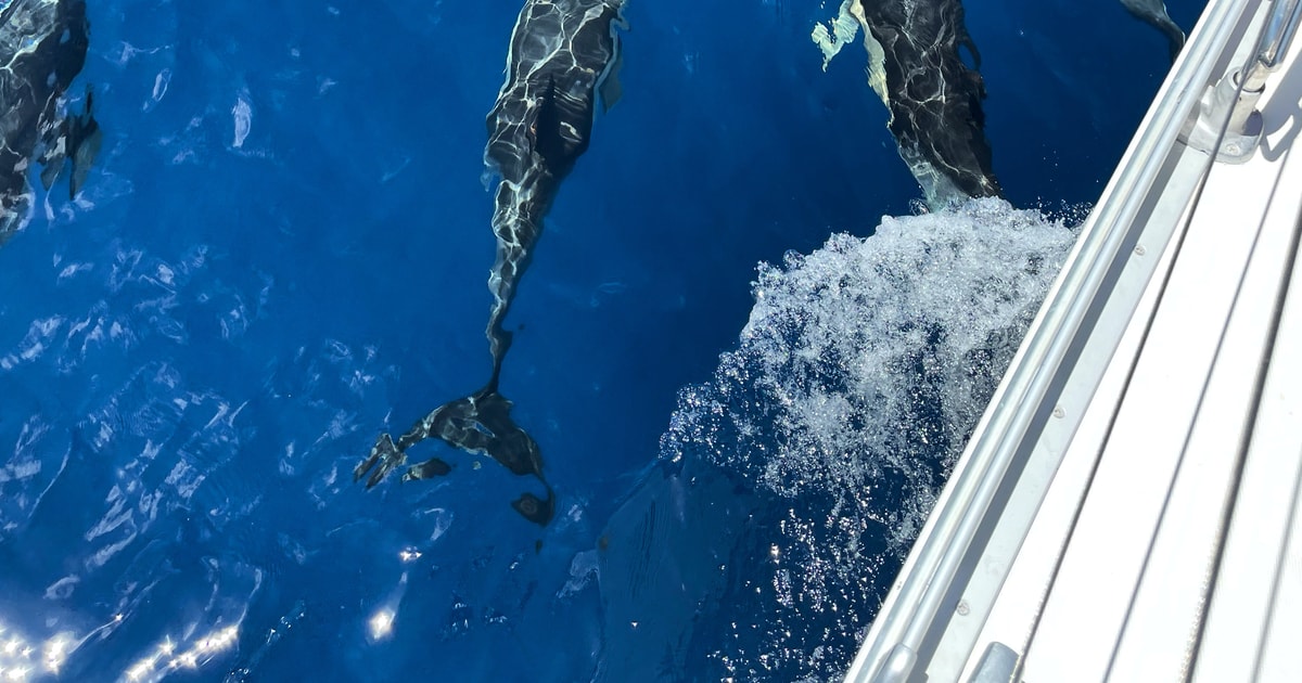 Morro Jable: Sejlbådsudflugt med mad og drikkevarer | GetYourGuide