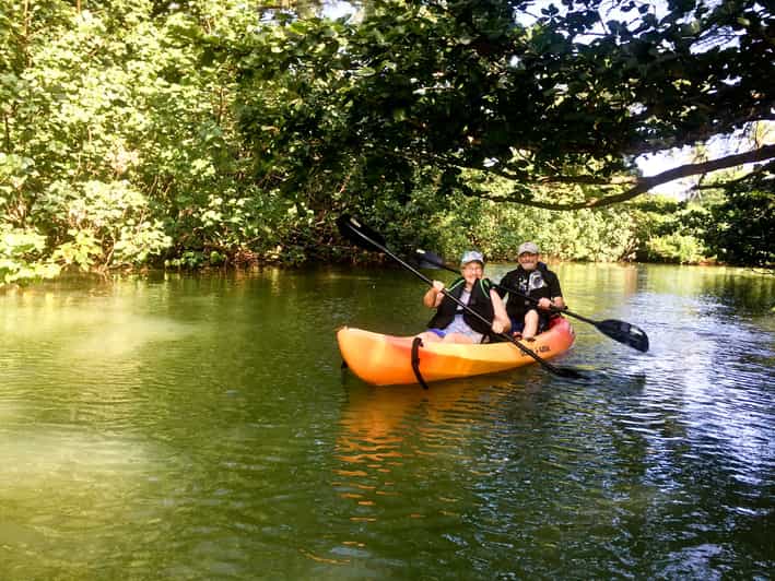 Oahu: Kahana Rainforest River 4-Hour Kayak Rental | GetYourGuide