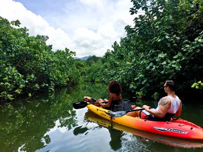 Oahu: Kahana Rainforest River 4-Hour Kayak Rental | GetYourGuide