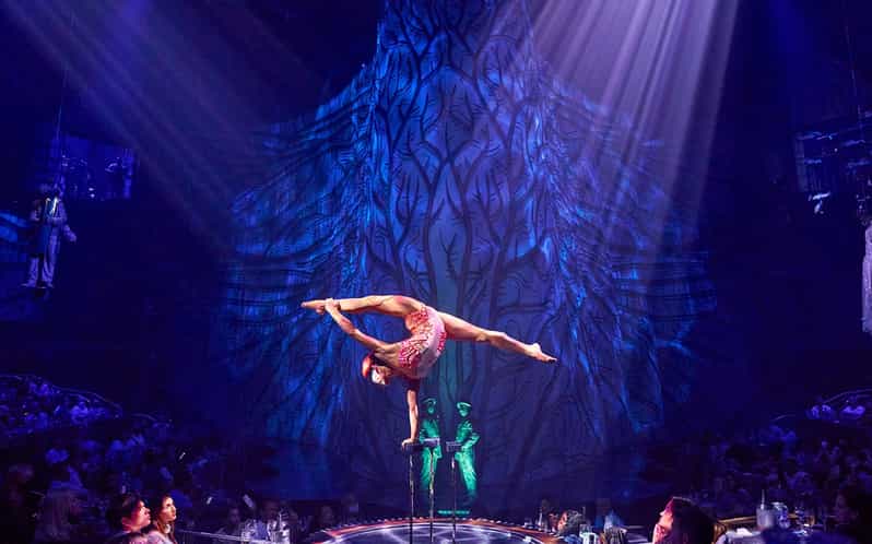 Cirque Du Soleil JOYÀ an der Riviera Maya | GetYourGuide