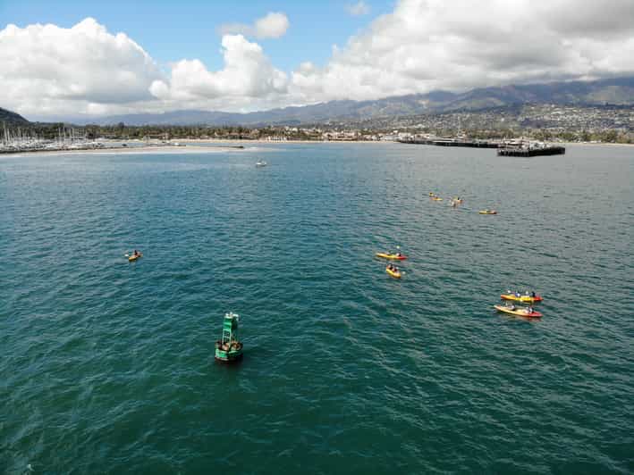 Santa Barbara: Guided Sea Lion Kayaking Tour | GetYourGuide