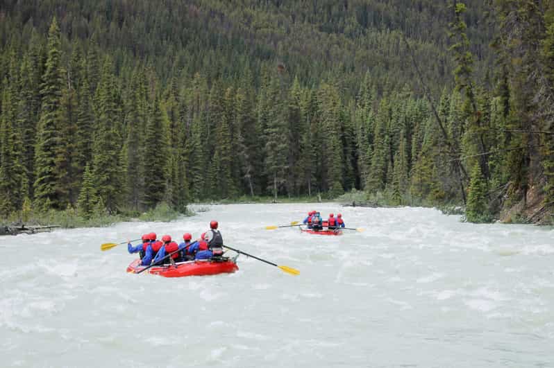 Sunwapta Challenge Whitewater Rafting in Jasper | GetYourGuide