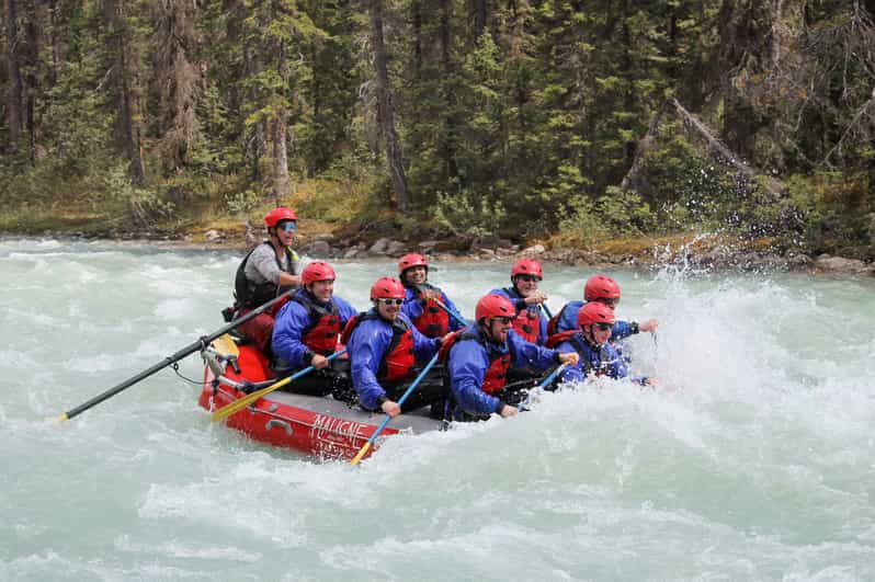 Sunwapta Challenge Whitewater Rafting in Jasper | GetYourGuide