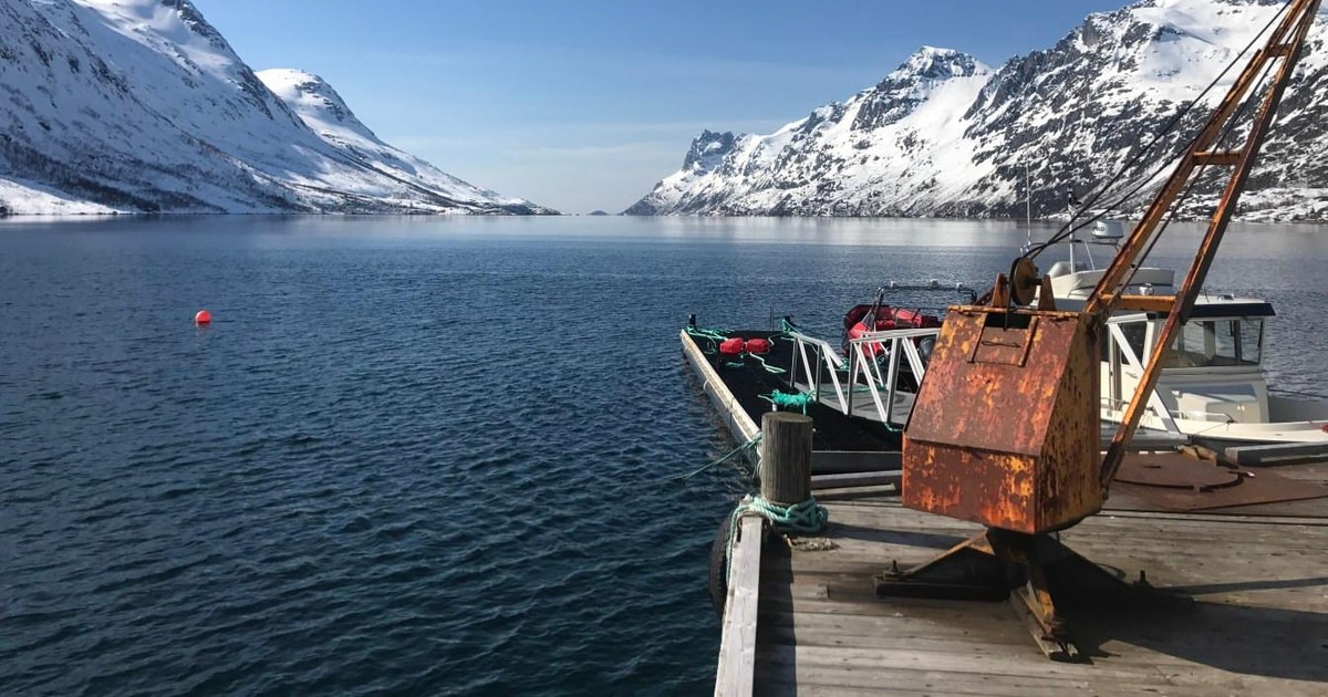 Tromsø: Private Yacht and Minivan Fjord Tour with Hot Drink | GetYourGuide