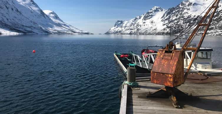 Kaldfjord Fiordos: lo MEJOR de 2023 - Cancelación GRATIS | GetYourGuide