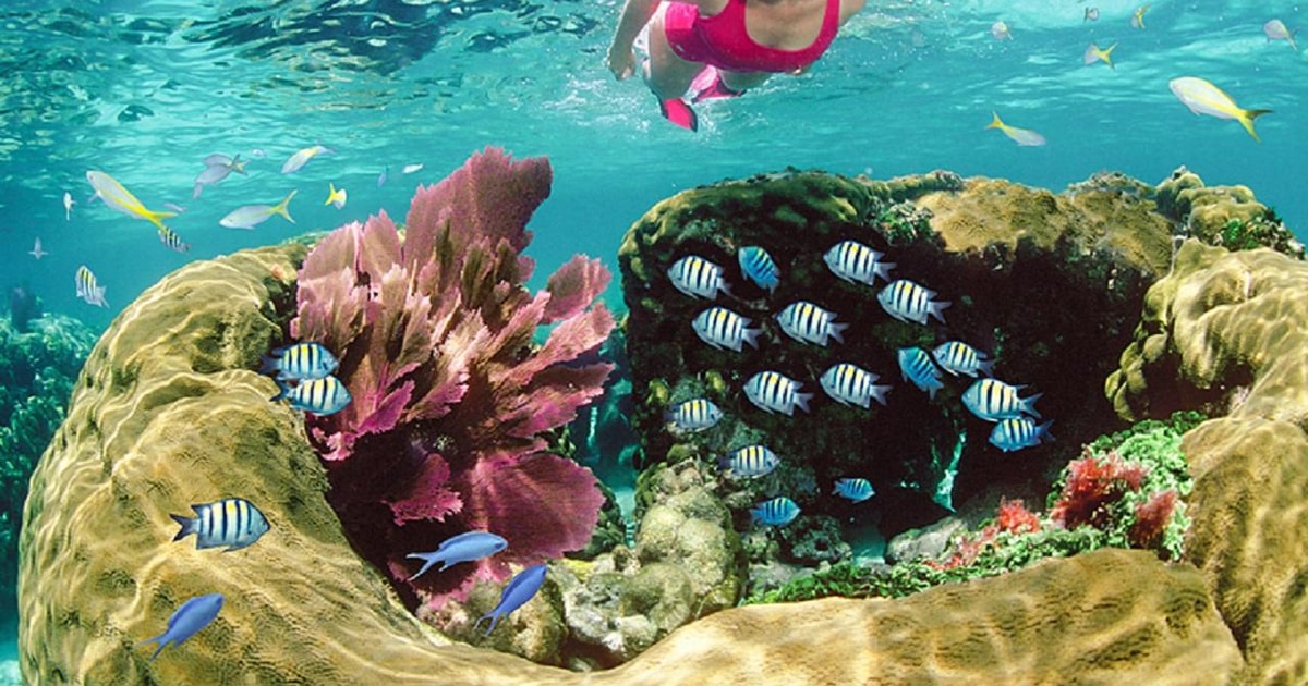 Από την Dahab: Dahab: Three Pools Guided Snorkeling Tour with Lunch ...